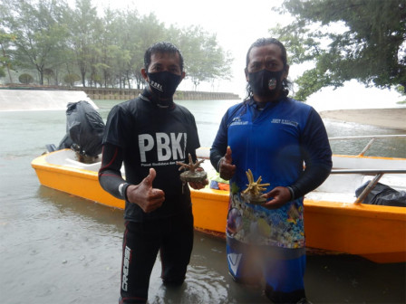 PBKL Pulau Tidung Bagikan Ribuan Bibit Mangrove | Beritaindonesia.id